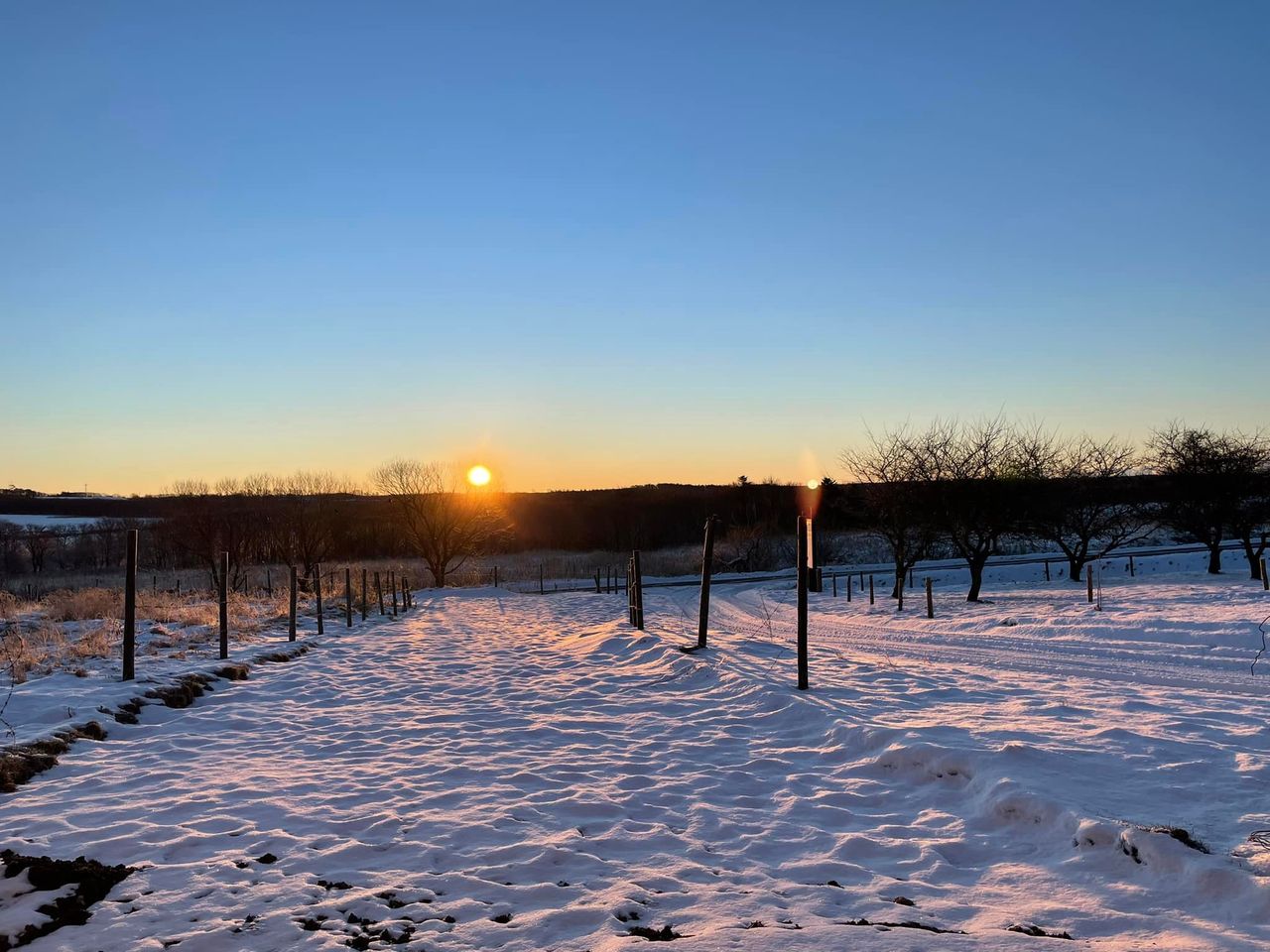新年 - 吉田牧場