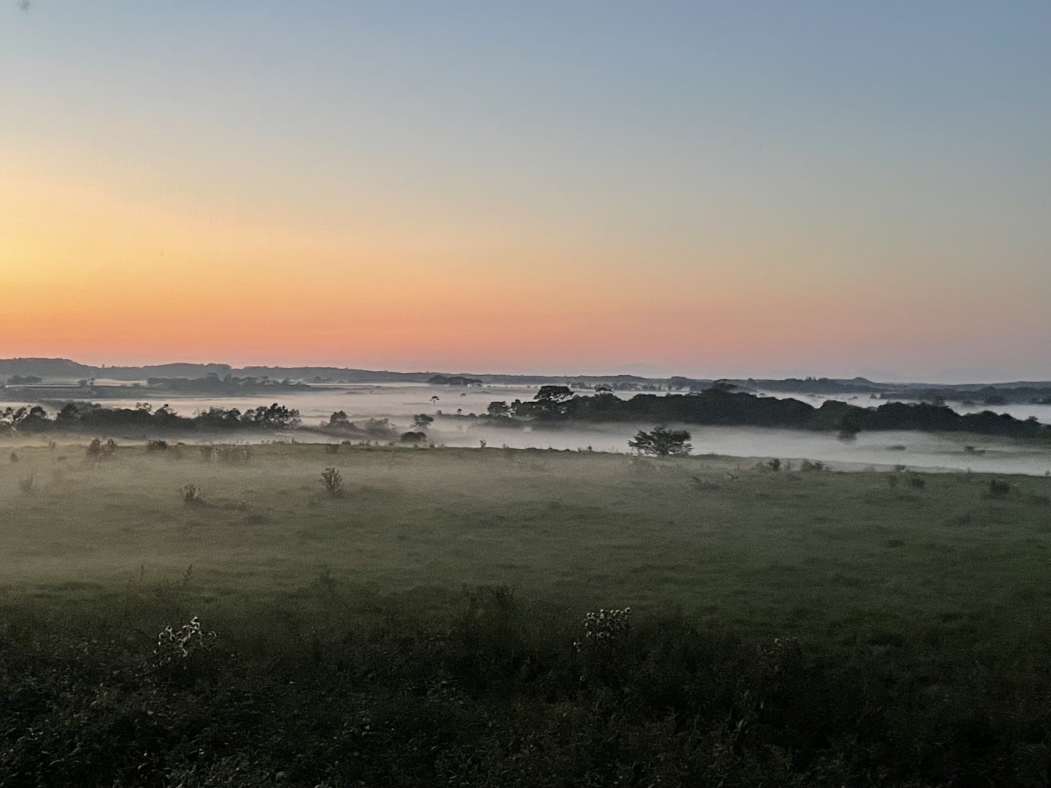 お気に入り - 吉田牧場