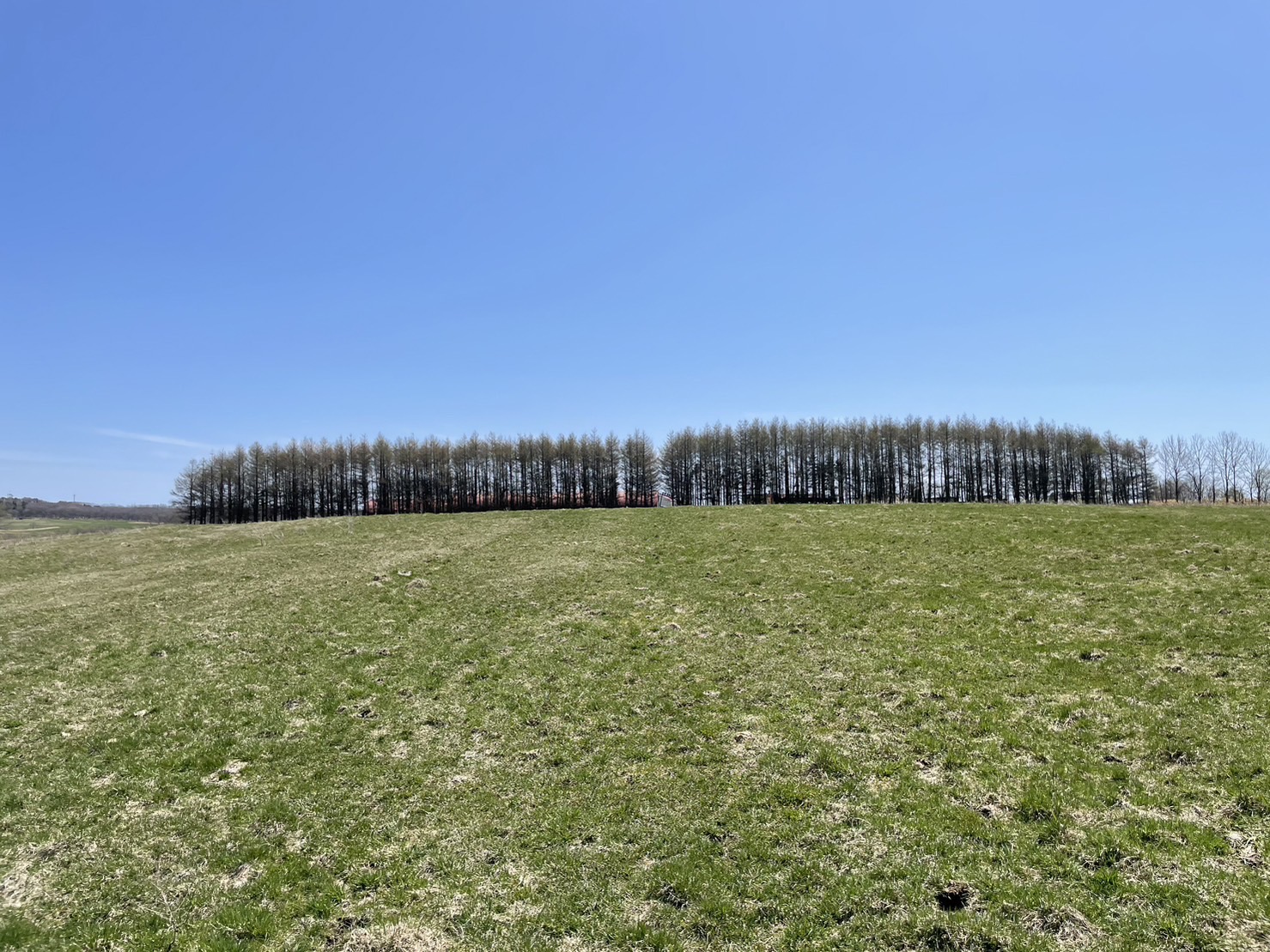 もうすぐ！ - 吉田牧場