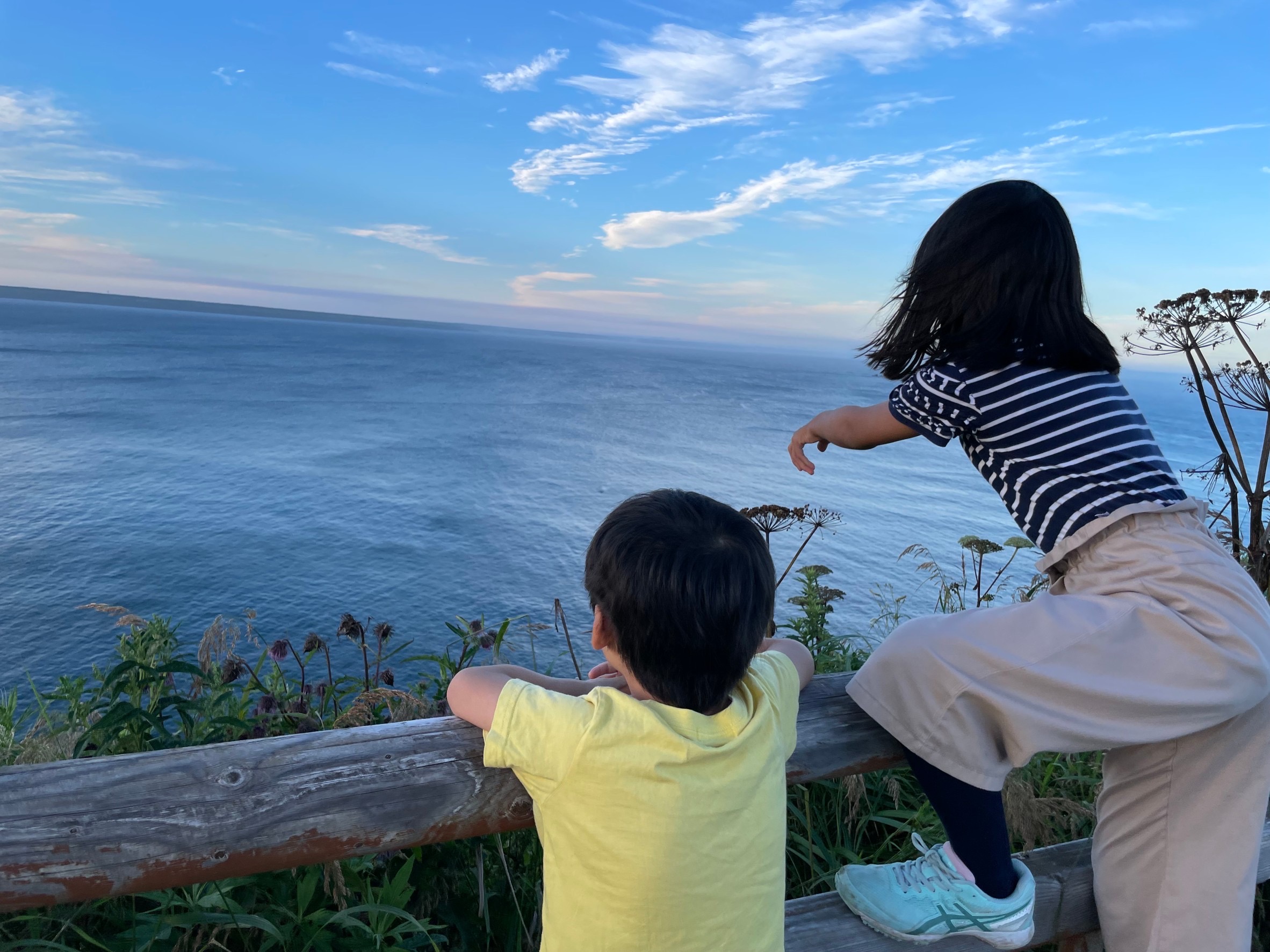 海を眺めて - 吉田牧場